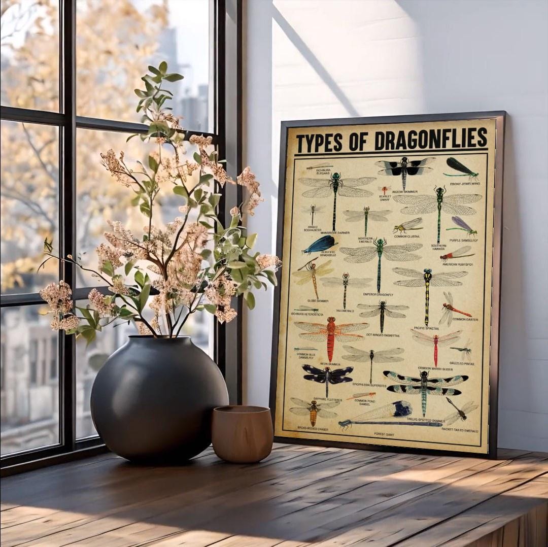 Vintage Dragonfly Knowledge Poster Types of Dragonflies Chart Insect ...