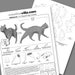 Walking Cat Model Low Poly Paper Model Template Halloween - Etsy