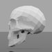 Human Skull Low Poly Paper Model Template - Etsy