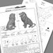 Roaring Lion DIY Low Poly Paper Model Template - Etsy