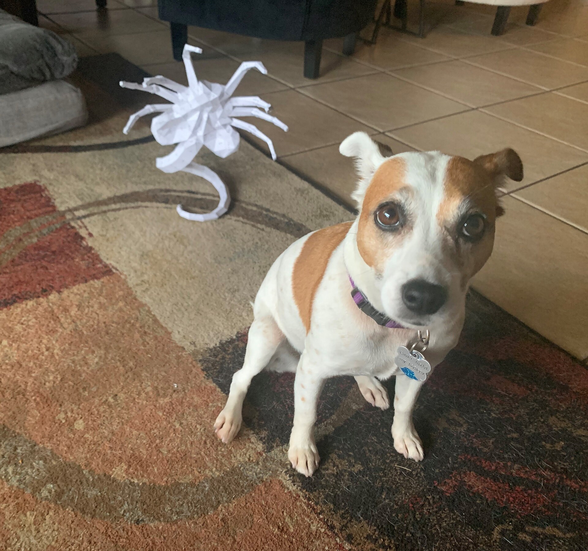 Face Hugger DIY Low Poly Paper Model Template - Etsy