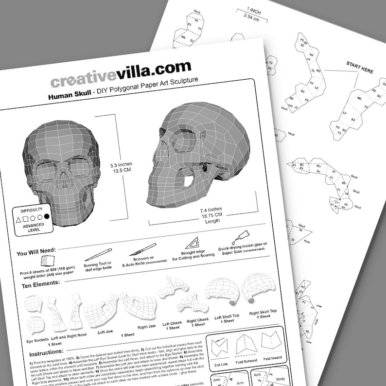 Human Skull Low Poly Paper Model Template - Etsy