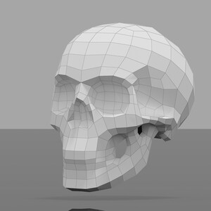 Human Skull Low Poly Paper Model Template - Etsy