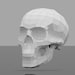 Human Skull Low Poly Paper Model Template - Etsy
