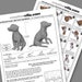 Jack Russell Terrier Dog - DIY Low Poly Paper Model Template, Paper ...