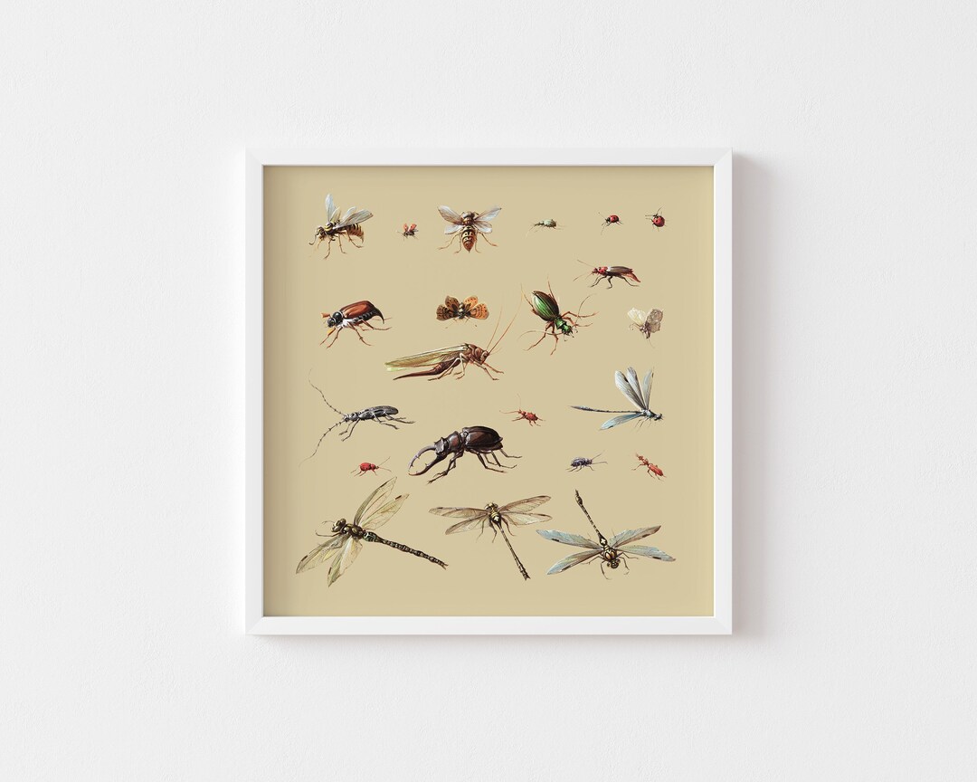 Vintage Insects Wall Art, Vintage Bugs, Insect Ephemera, Printable ...