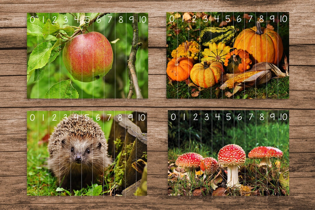 PRINTABLE, Nature, Autumn, Photo, Number, 0-10, Puzzle, Numeracy ...