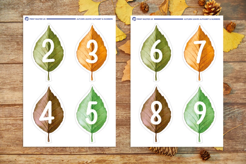 PRINTABLE DIY Autumn Leaves, Alphabet Phonics & Numbers, Nature ...