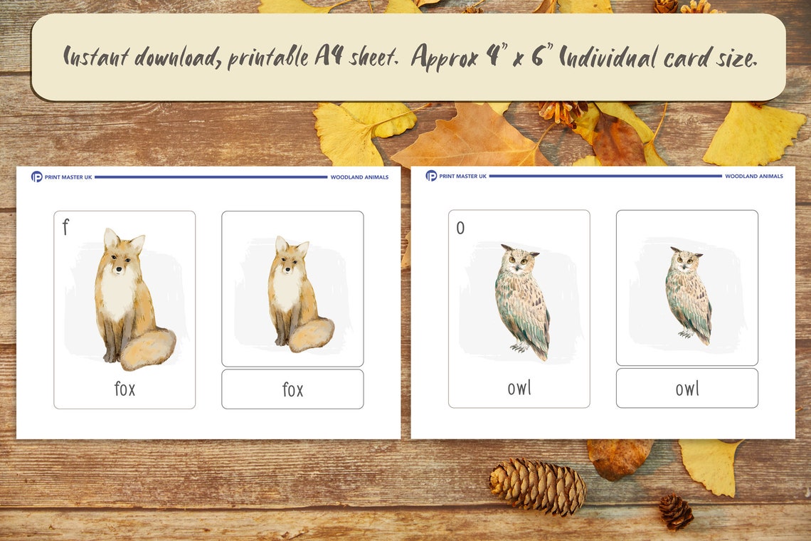 PRINTABLE, Woodland Animals, Three Part Learning Flash Cards ...