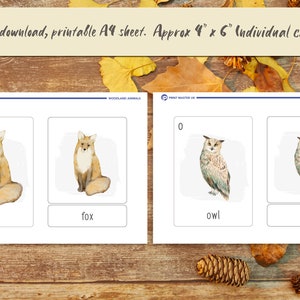 PRINTABLE, Woodland Animals, Three Part Learning Flash Cards ...