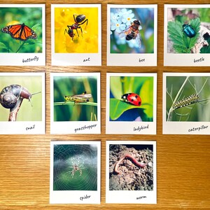 PRINTABLE DIY Download. Insects/ Mini Beasts Nature - Etsy