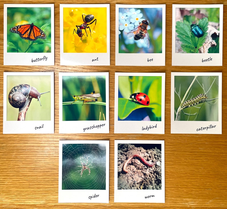 PRINTABLE DIY Download. Insects/ Mini Beasts Nature - Etsy
