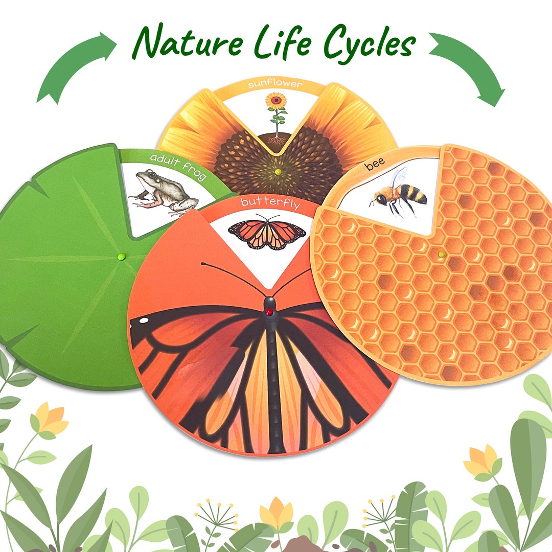 PRINTABLE, DIY, Download. Spring/ Summer, Nature Life Cycles, Wheels ...