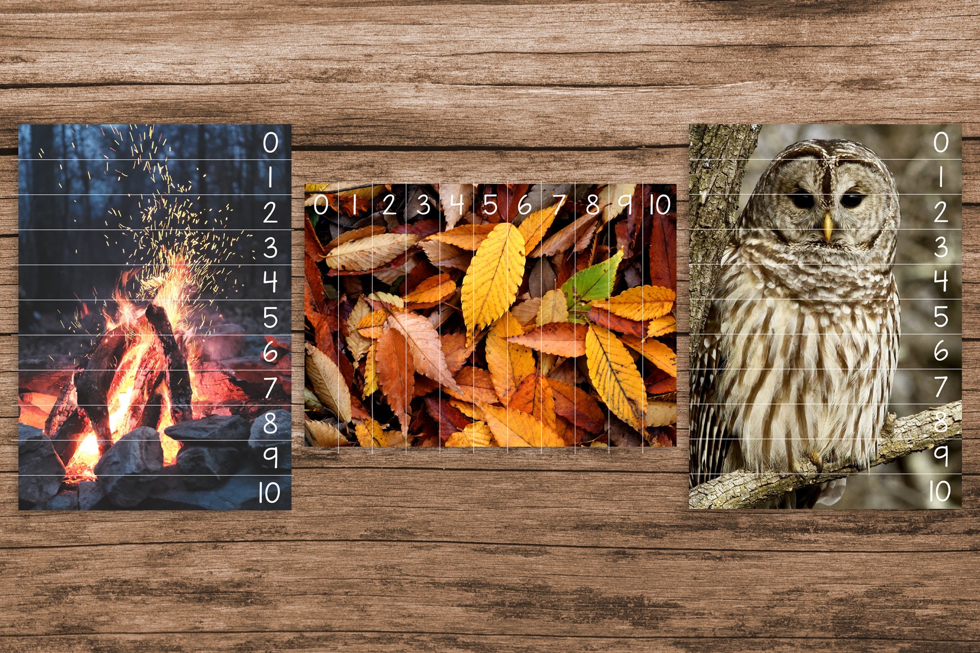 PRINTABLE, Nature, Autumn, Photo, Number, 0-10, Puzzle, Numeracy ...