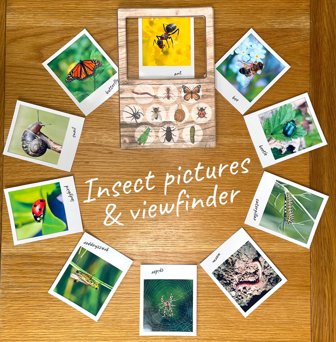 PRINTABLE DIY Download. Insects/ Mini Beasts Nature - Etsy