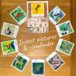 PRINTABLE DIY Download. Insects/ Mini Beasts Nature - Etsy