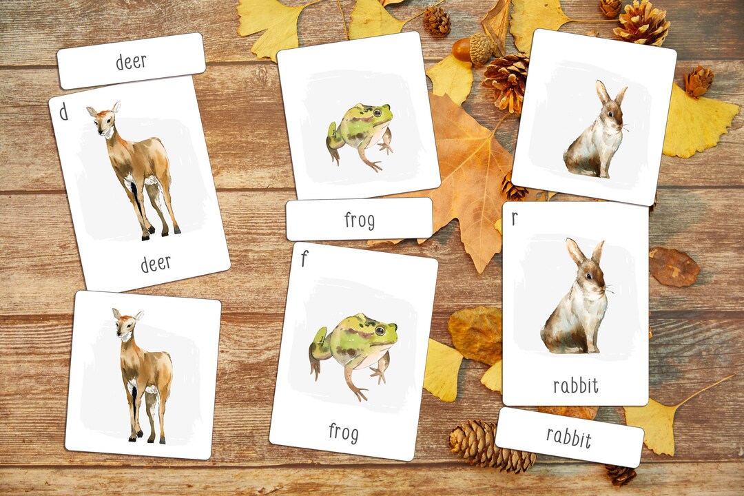 PRINTABLE, Woodland Animals, Three Part Learning Flash Cards ...