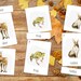 PRINTABLE, Woodland Animals, Three Part Learning Flash Cards ...