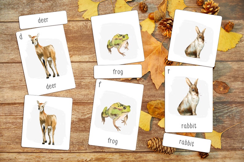 PRINTABLE, Woodland Animals, Three Part Learning Flash Cards ...