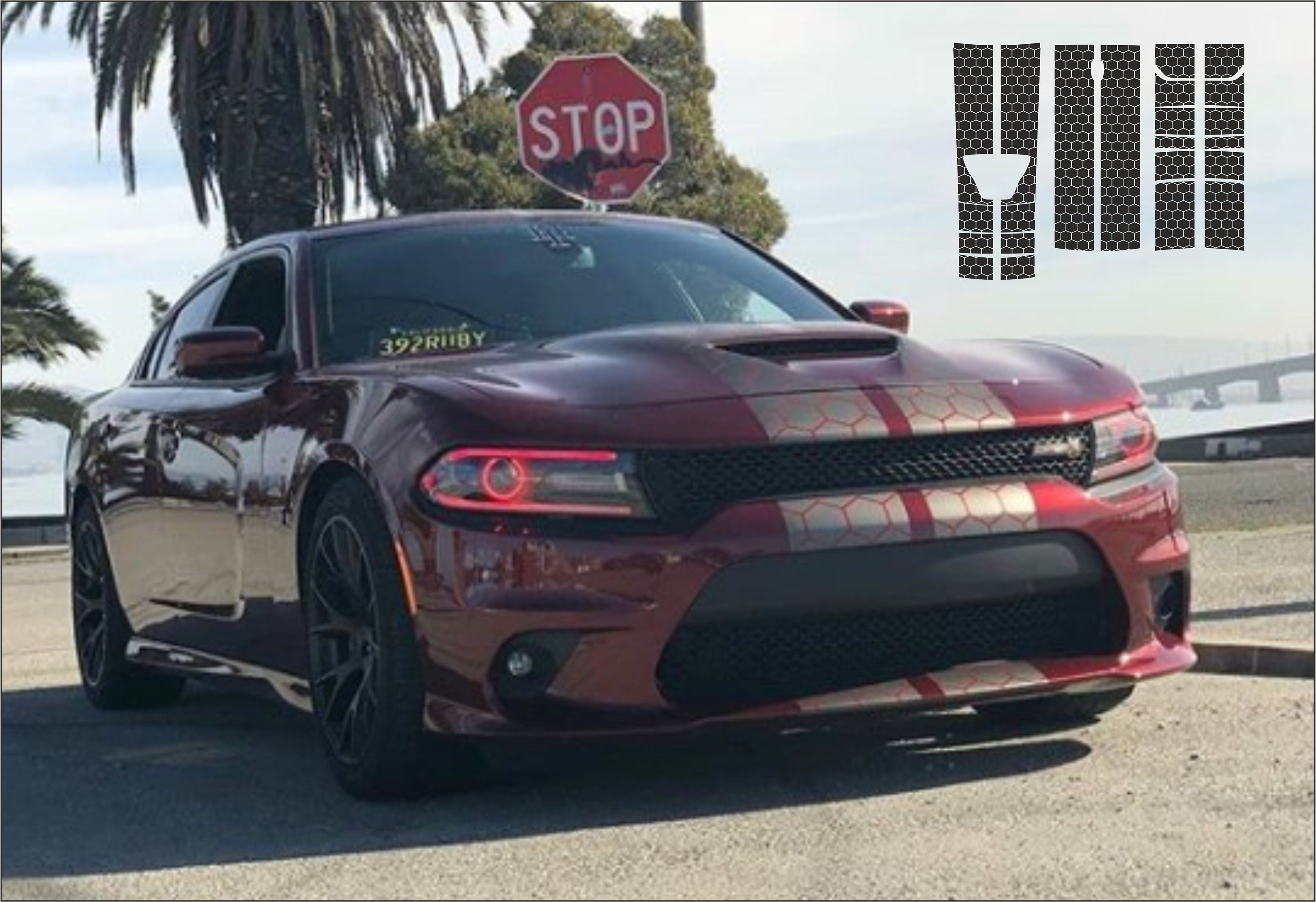 NEW HUGE COMPLETE Vinyl Decal Sticker Graphics Kit Fits Dodge Charger ...