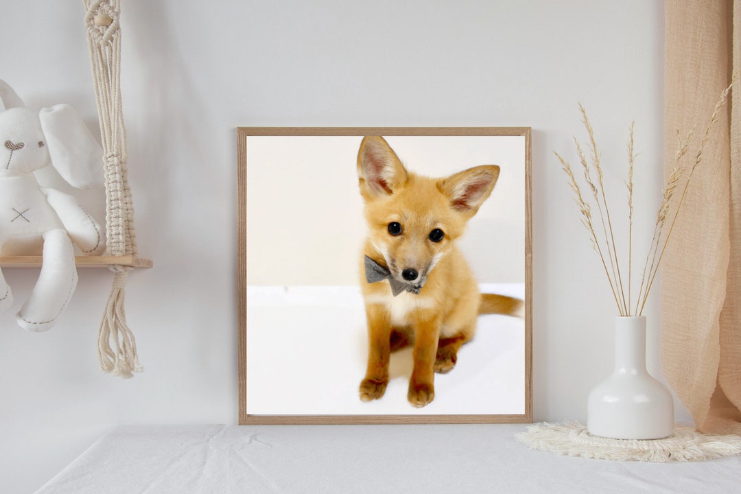 Adorable Baby Fox Printable Wall Art, Baby Fox With Bowtie, Nursery Art ...