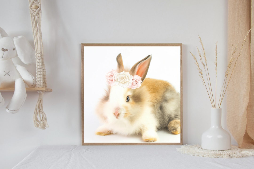 Baby Bunny Printable Wall Art, Baby Rabbit, Bunny With Blush Flowers ...