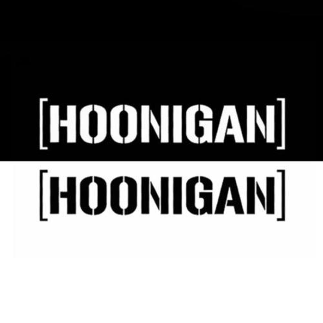 Hoonigan Car Window Sticker (all Colours & Sizes) - Etsy