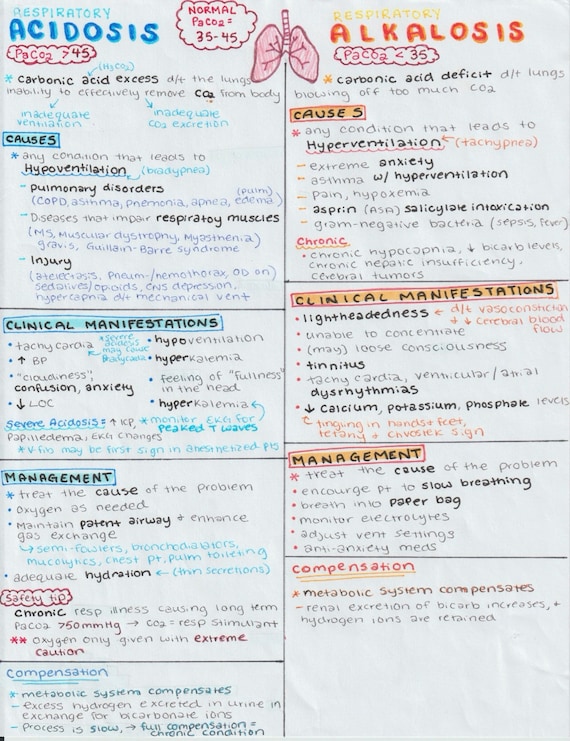 Nursing School Concept Maps: Adult Health - Etsy