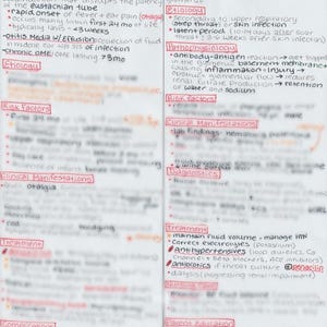 Nursing School Concept Maps: OB, Newborn and Pediatrics - Etsy