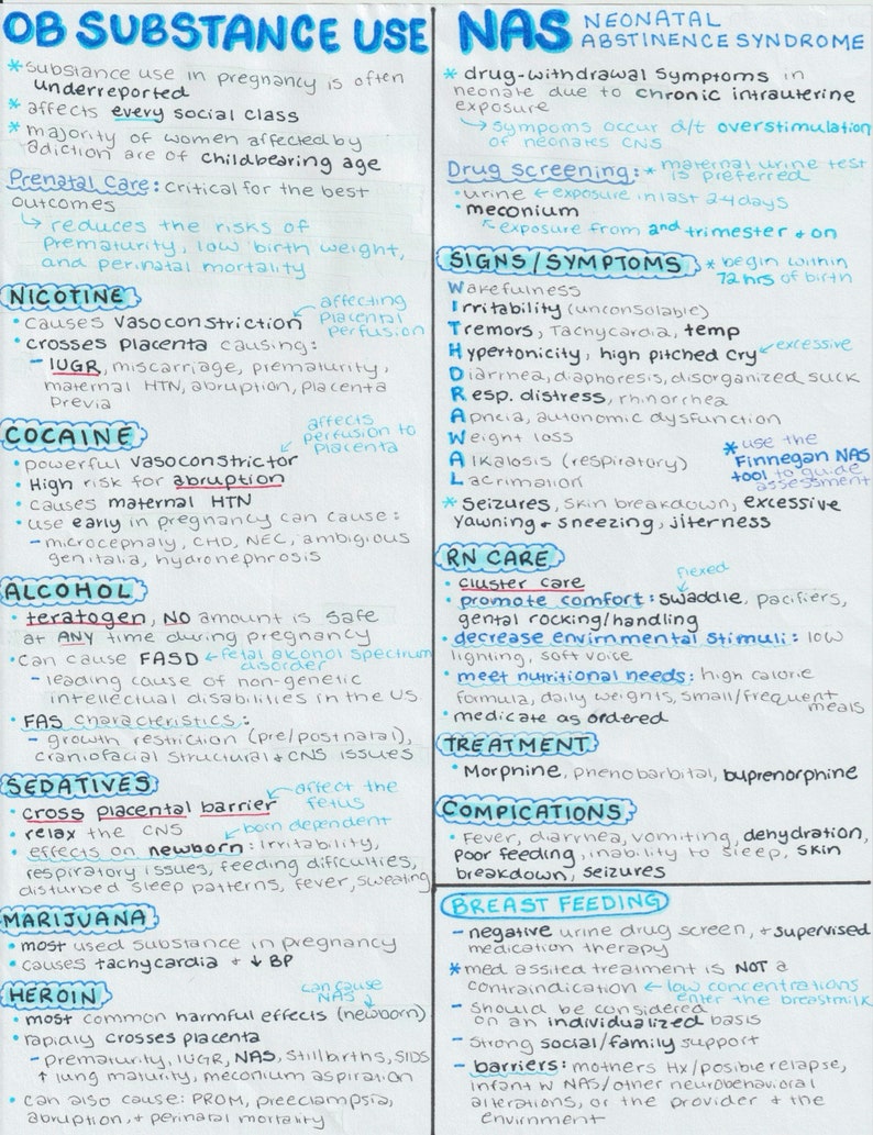 Nursing School Concept Maps: OB Newborn and Pediatrics - Etsy