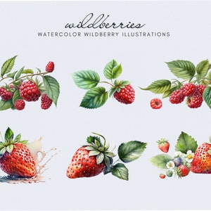 Watercolor Wildberries Clipart Bundle, Botanical Illustrations, Berry ...