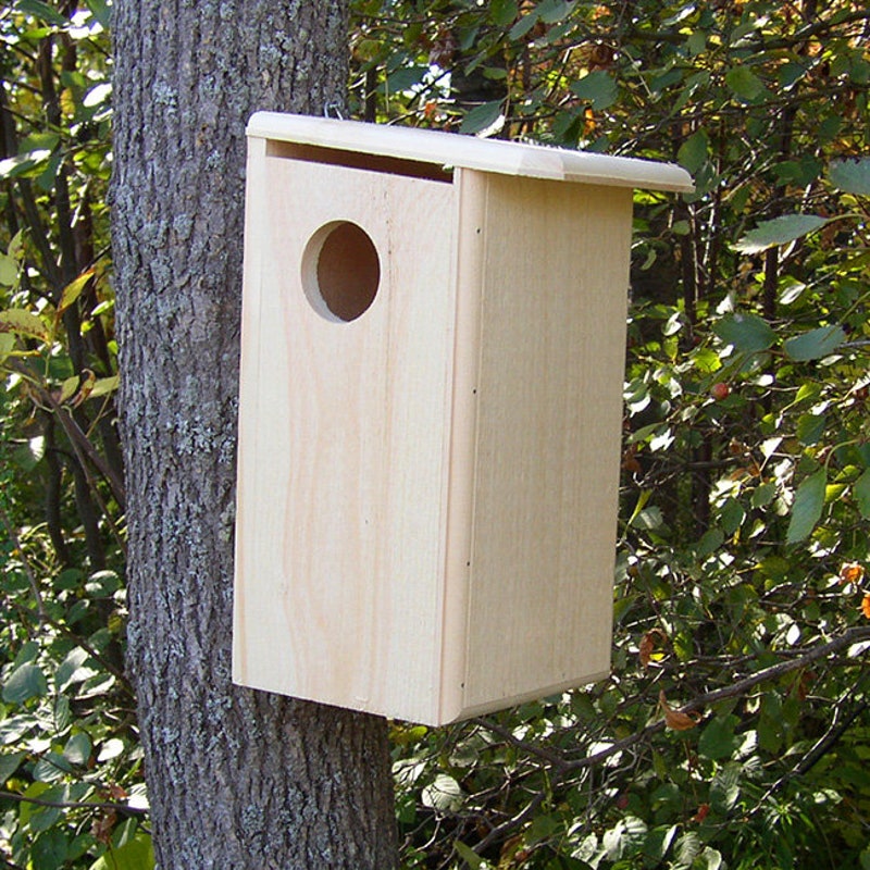 Squirrel House - Etsy