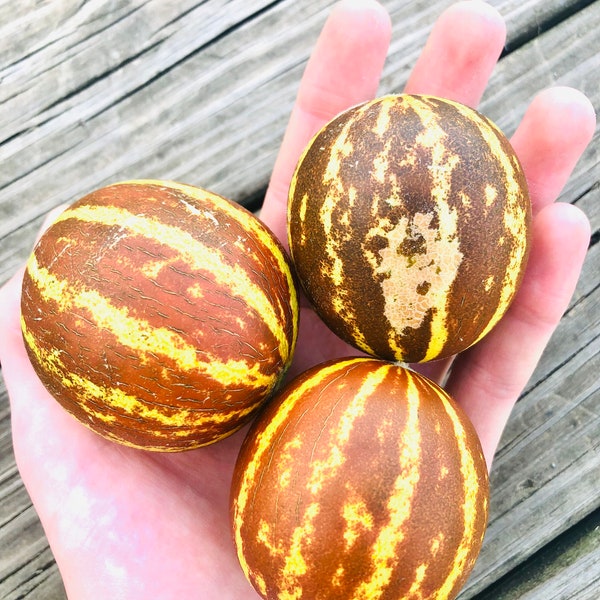 Heirloom Seeds - Etsy