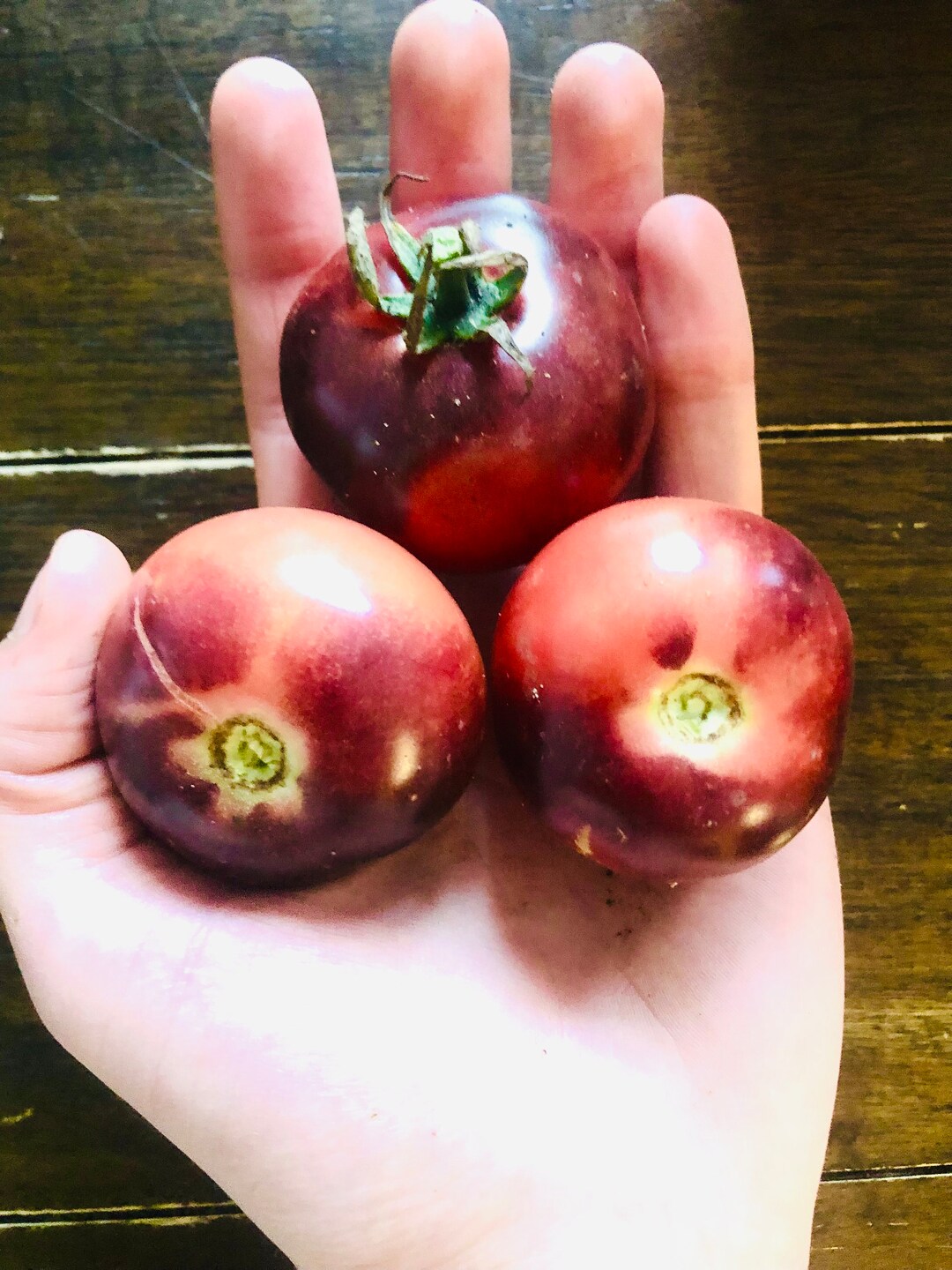 Bosque Blue peach Cultivar Tomato Seeds - Etsy