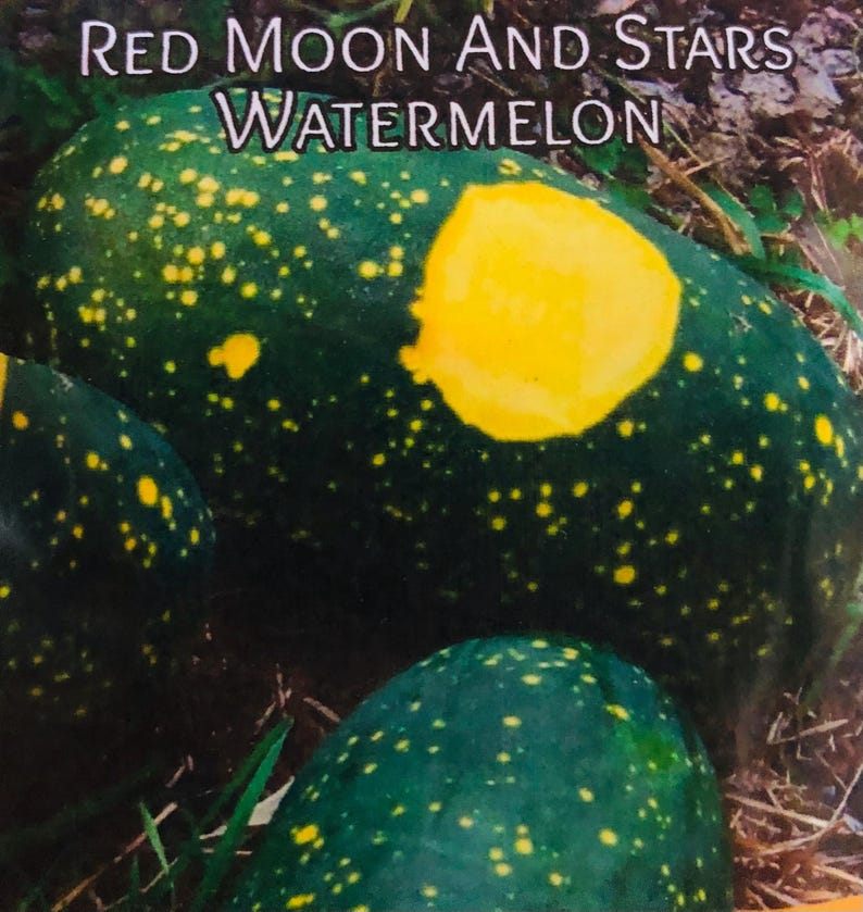 Moon and Stars Watermelon Seeds - Etsy