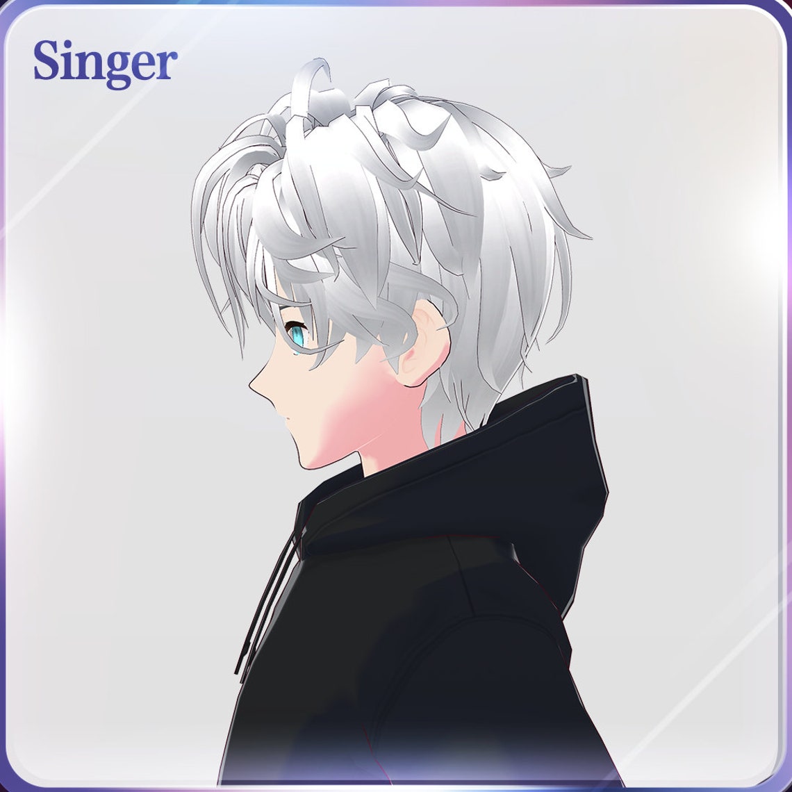 Vroid Fluffy Boy Hair Preset/ Singer - Etsy