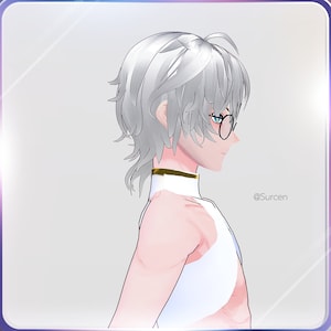 Vroid Boy Soft Hair Preset - Etsy