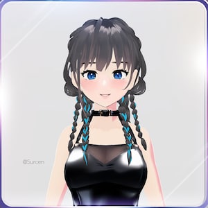 Vroid Hip Hop Style Braid Hair Preset - Etsy