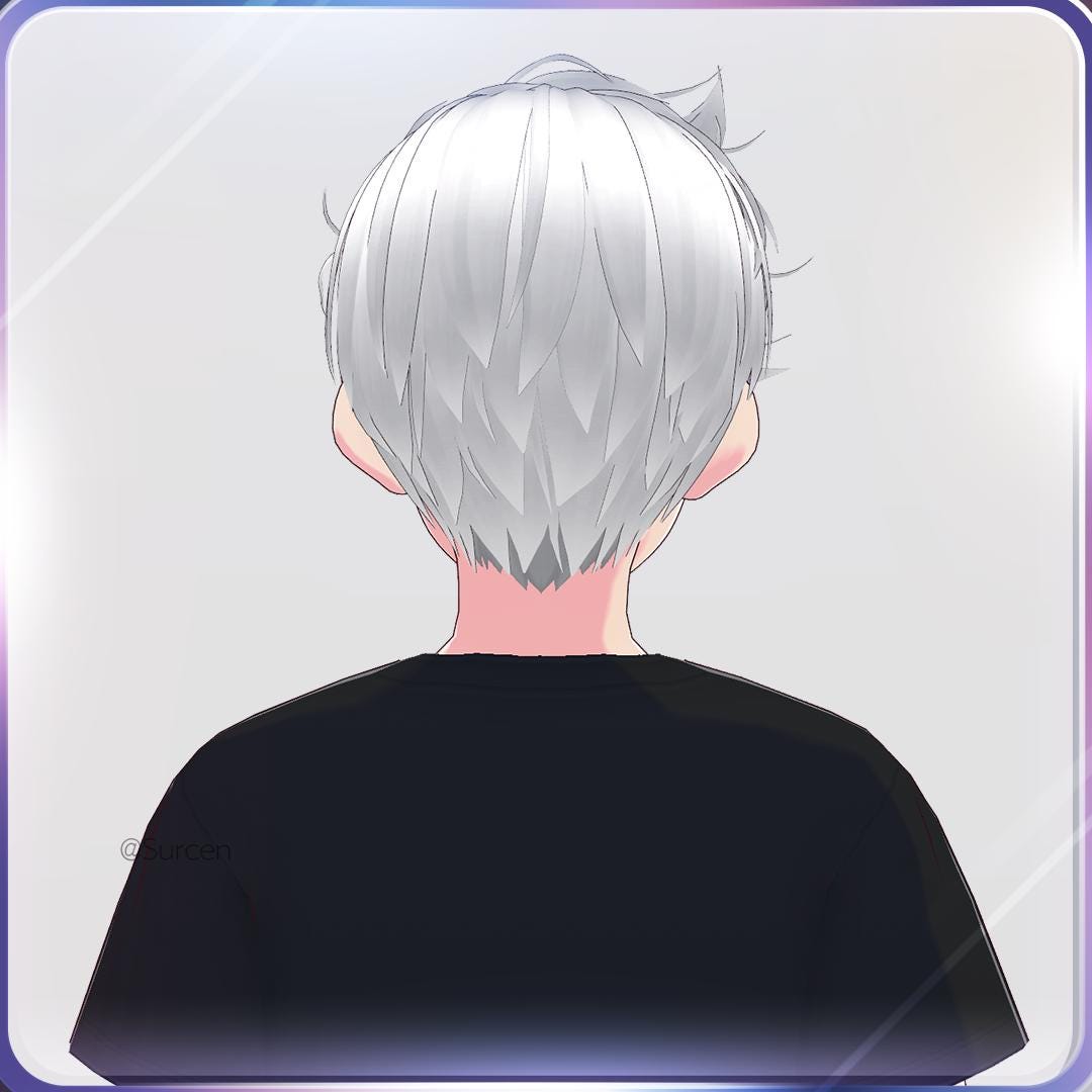 Vroid Leader Boy Hair Preset - Etsy