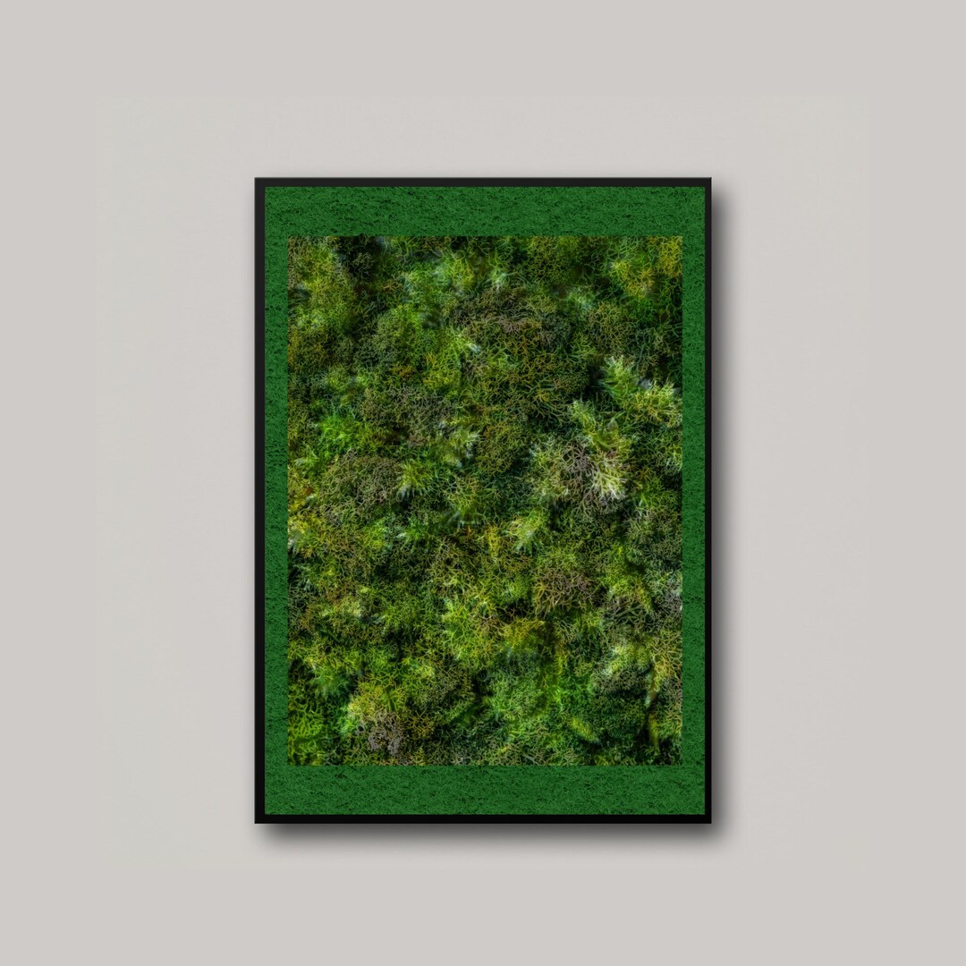 Printable Moss Wall Art Botanical Plant Wall Decor for Bedroom Dining ...