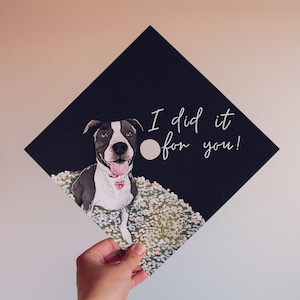 Pet Graduation Cap - Dog Custom Graduation Cap - Cat Custom Graduation ...