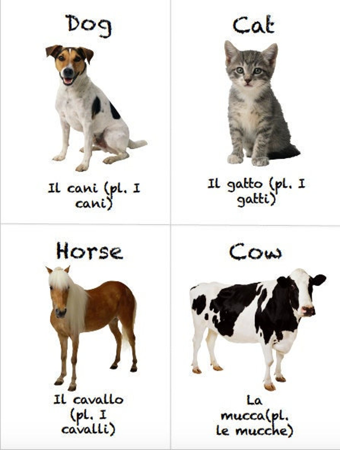 Bilingual Printable Flashcards - Animals, English and Italian ...