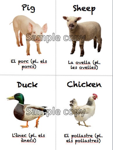 Bilingual Printable Flashcards - Animals, English and Catalan ...