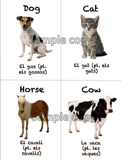 Bilingual Printable Flashcards - Animals, English and Catalan ...