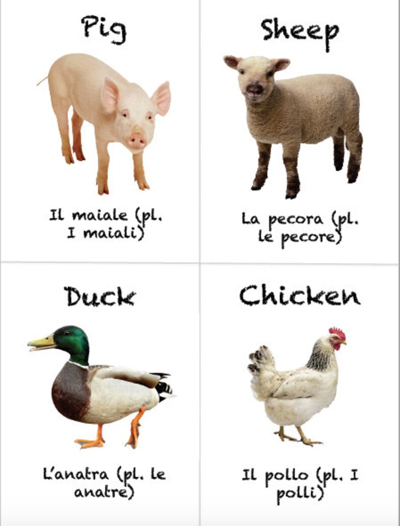 Bilingual Printable Flashcards - Animals, English and Italian ...