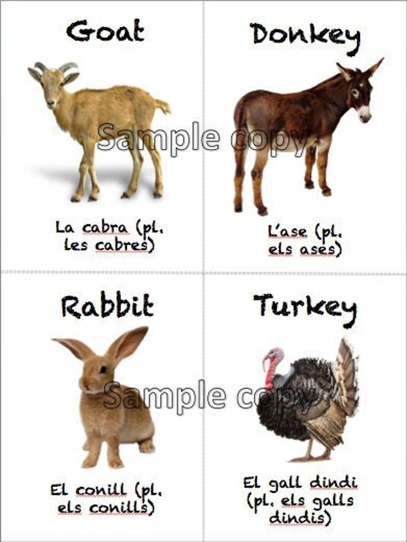 Bilingual Printable Flashcards Animals English and Catalan - Etsy