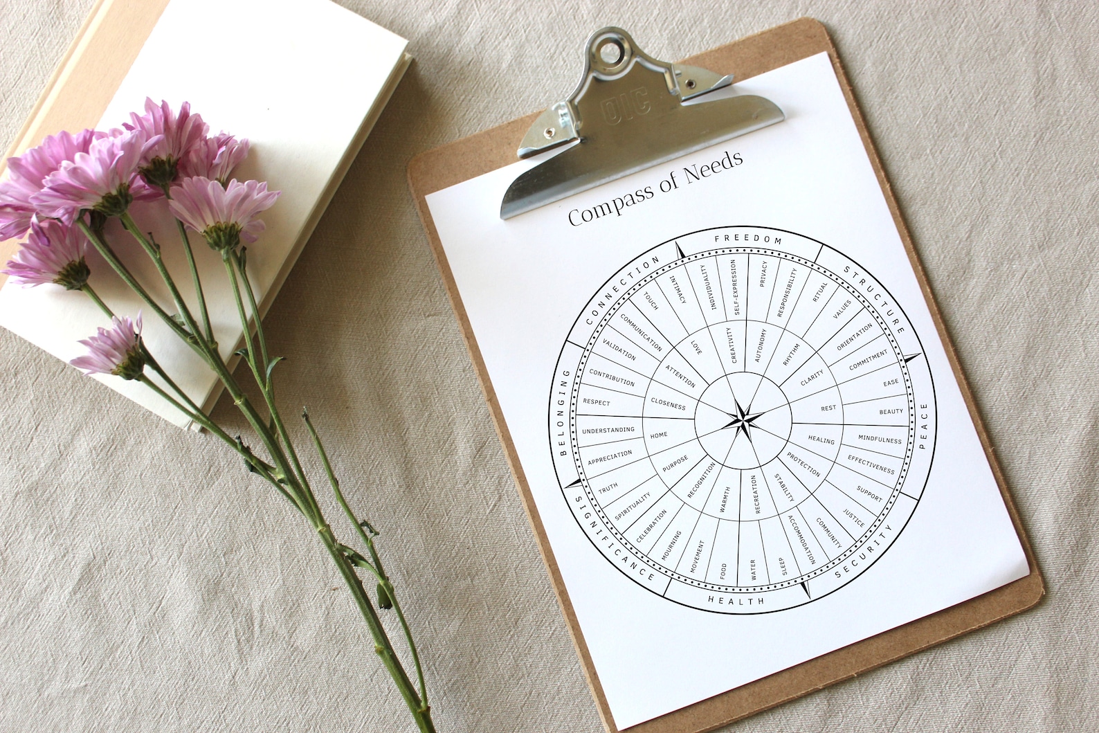 Needs Wheel Worksheet: Compass of Emotions, Color-in Activity (instant ...
