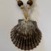 Sea Shell Necklace - Etsy