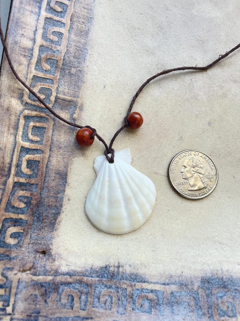 Sea Shell Necklace - Etsy