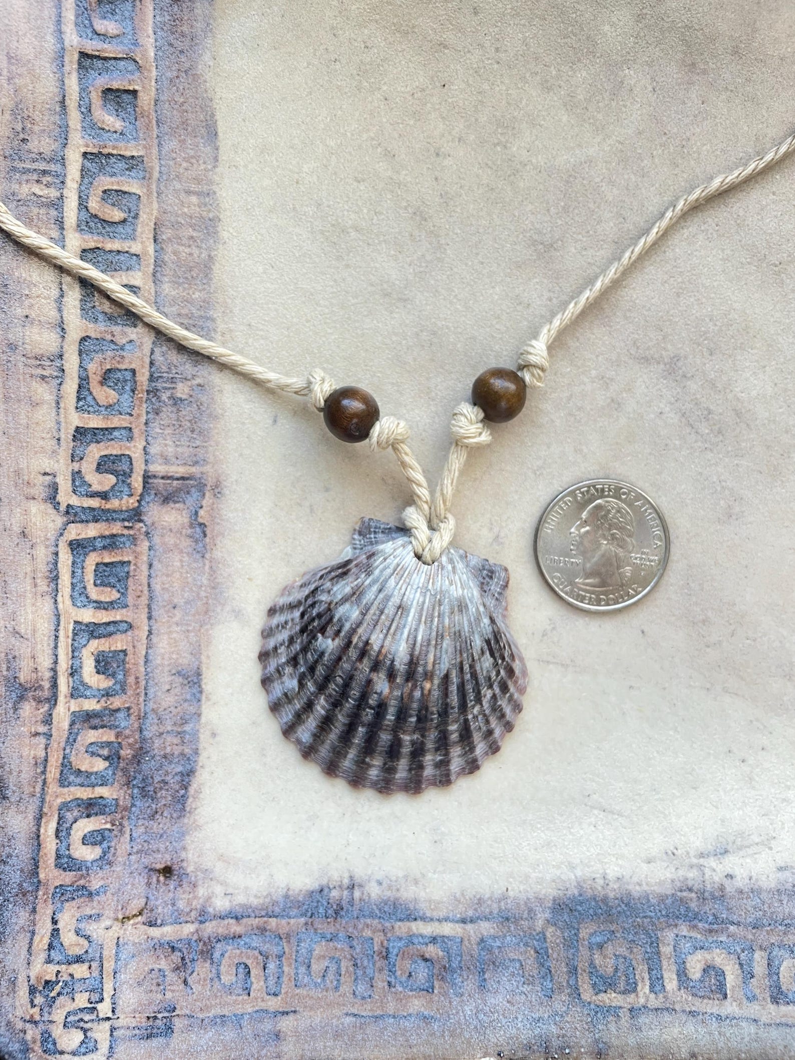 Sea Shell Necklace - Etsy